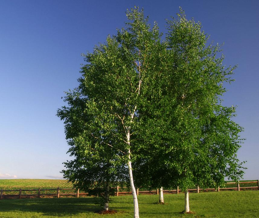 El arte de la esquina: septiembre 2015