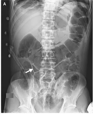 icupearls.org Archive