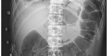 icupearls.org Archive