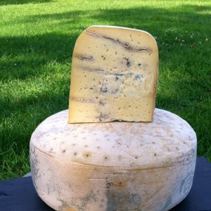 The Wine and Cheese Place: Rock Hill Cheese Feature: Bucheron: