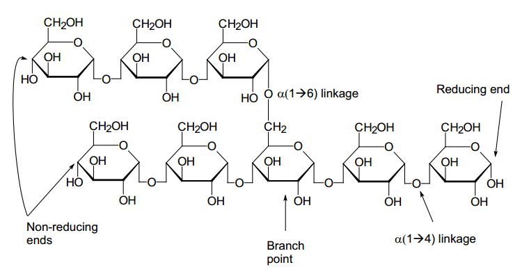 Metabolisme glikogen melalui malat shuttle dan G3P shuttle ~ Scientists ...