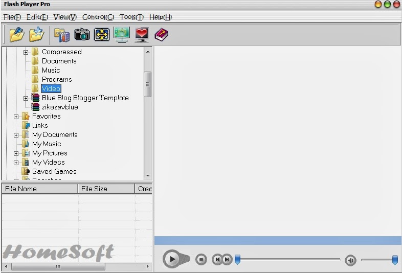 Serial Number+Keygen Flash Player Pro 5.8 - HomeSoft
