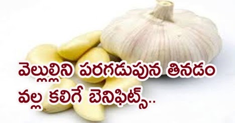 Benefits Of Eating Vellulli In Daily Morning in telugu - Vaish Recipes