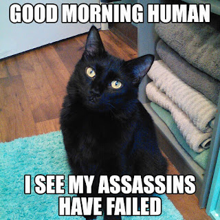 Speak of the Devil: A Day In The Life Of A Cat