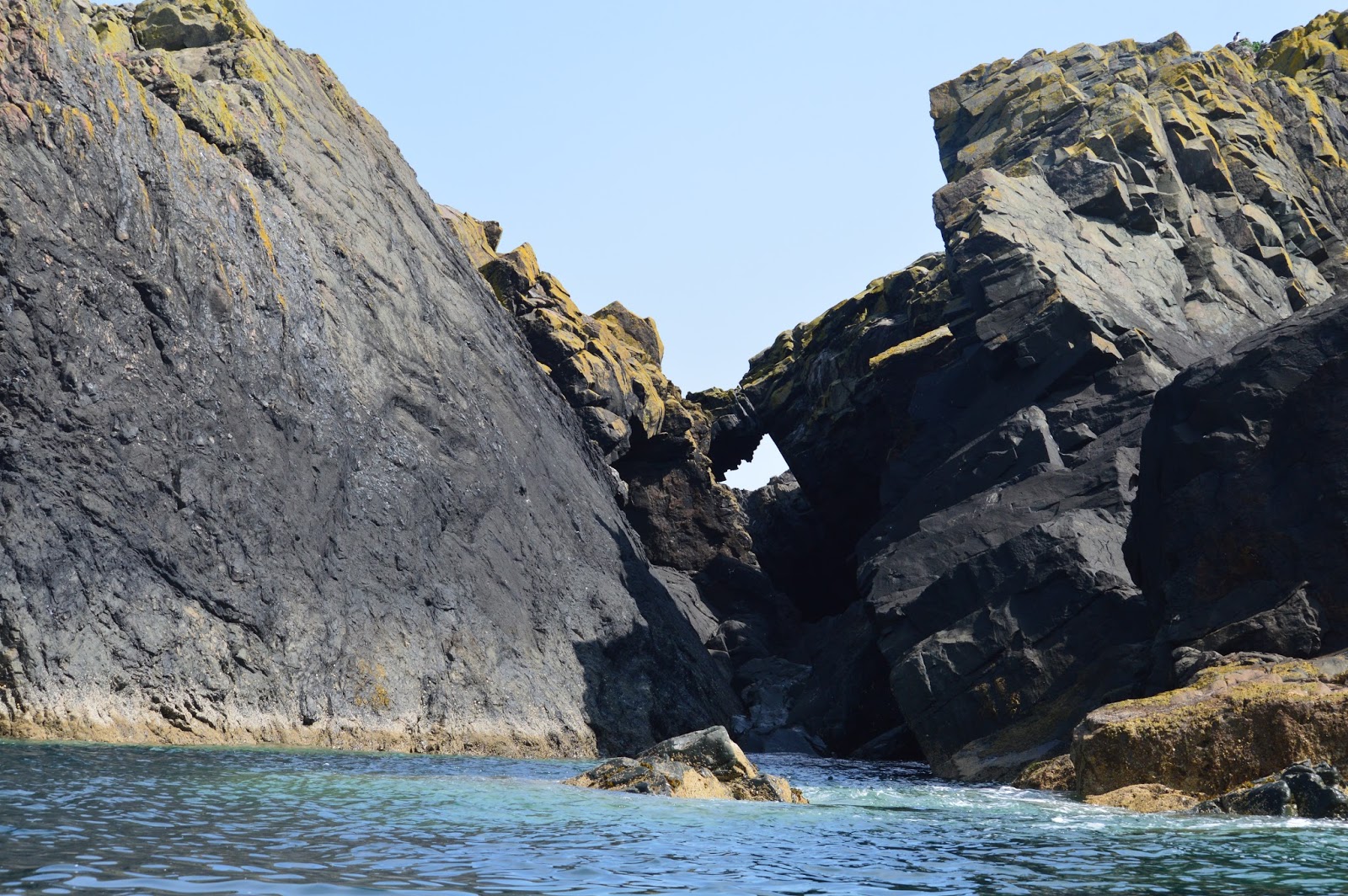Mountain Coast River: Puffin Extravaganza: Gwylan Islands, June 2013