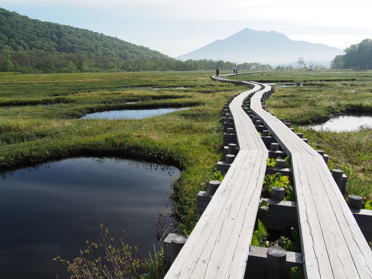 The Holiday and Travel Magazine: Gunma: Go Trekking at Oze National Park