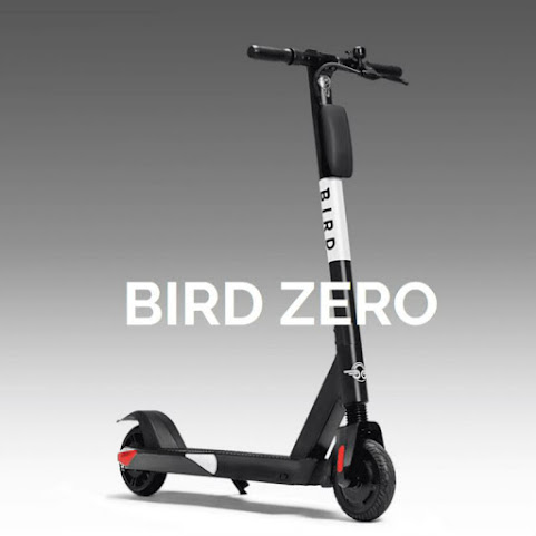 TKC BREAKING NEWS!!! PLUS-SIZED KANSAS CITY FORCED BIRD TO DEVELOP MORE ...