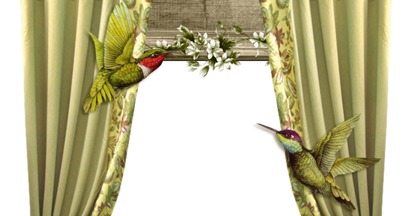 ForgetMeNot: hummingbirds frames