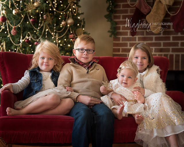 2017 Christmas Mini Sessions | Wigglebug Photography | Newborn ...