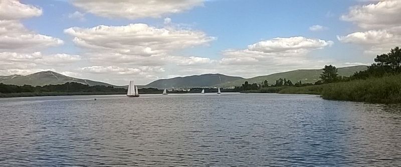 dornas coma a area: Por un verso, o que facemos por un verso!!!