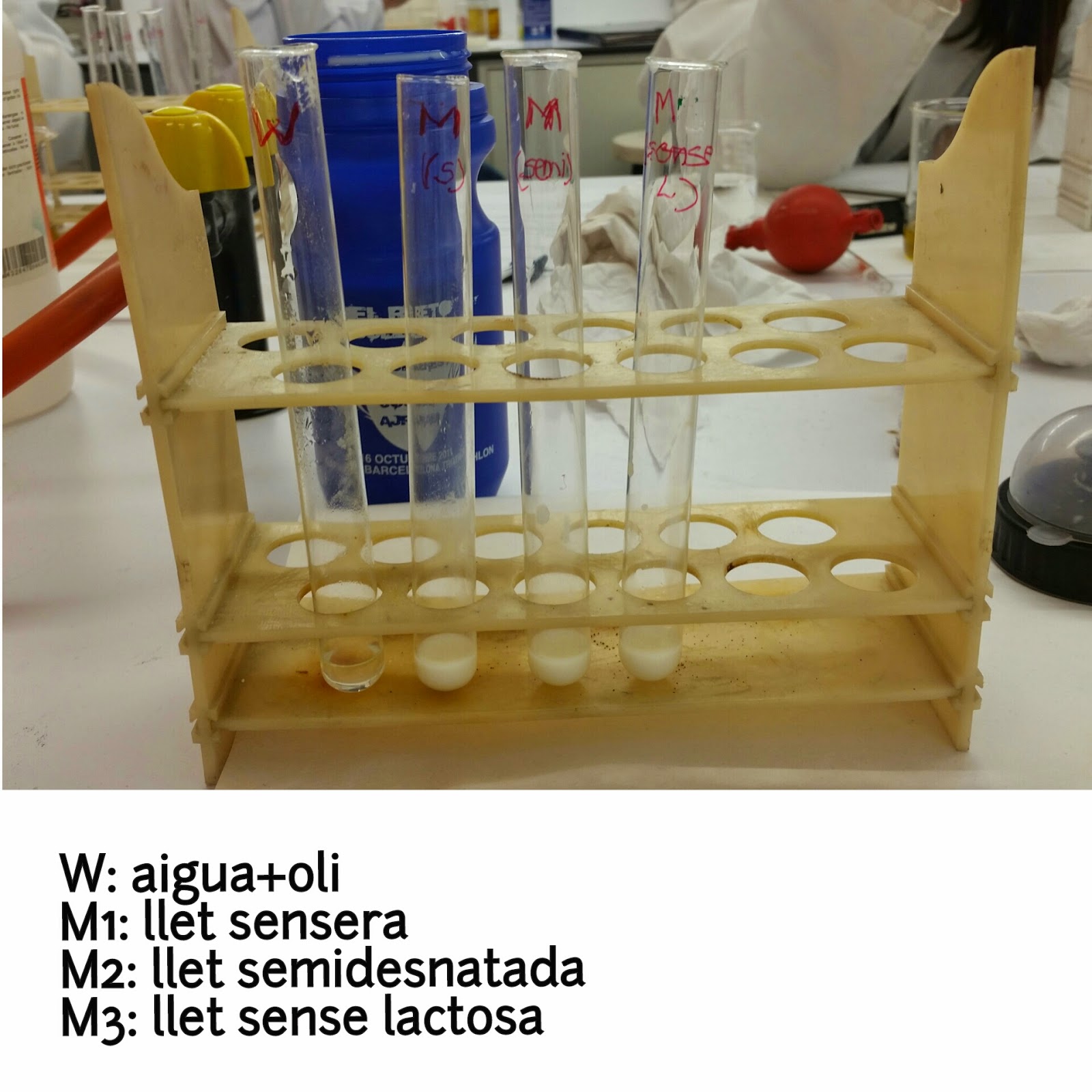 Science Lab : L6. Lipids properties