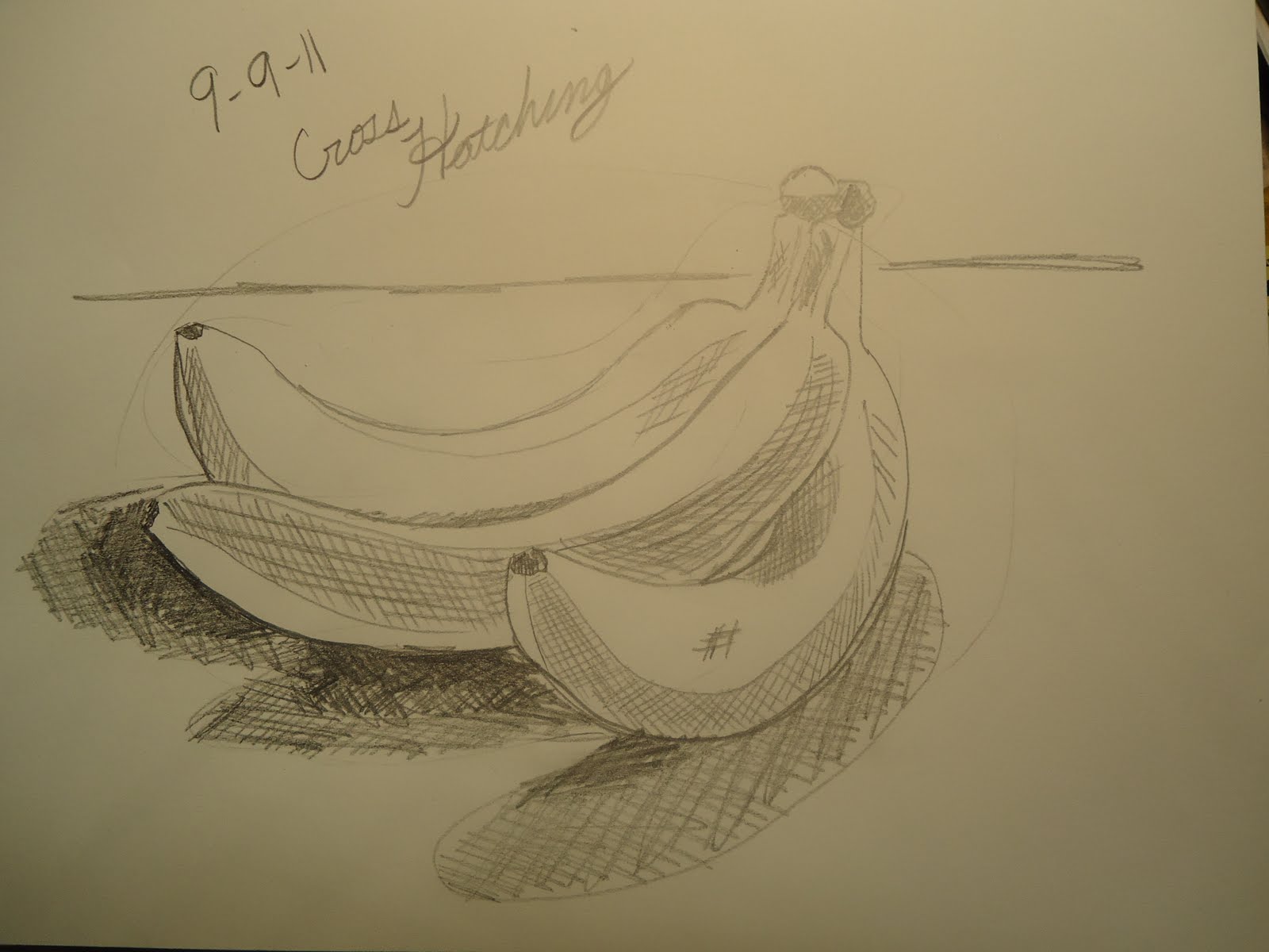 DRAWING CLASS! :): 9-9-11 Albrecht Durer and Cross Hatching