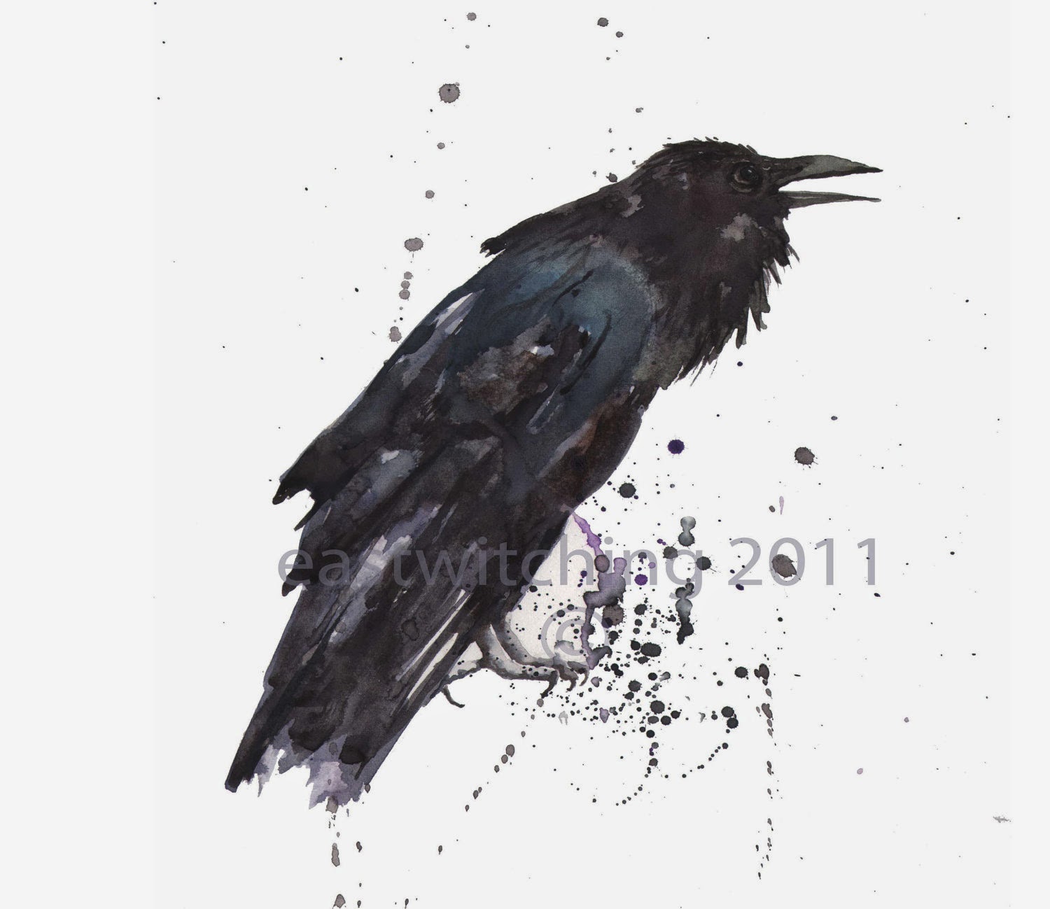 The Raven Reference Images