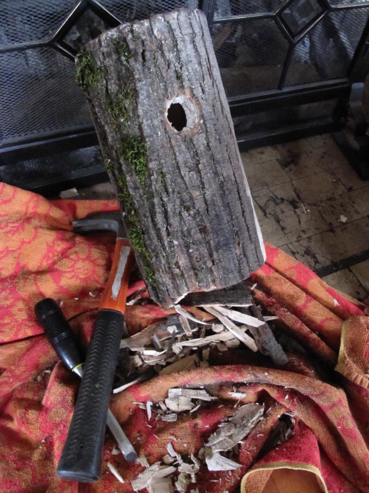 Bea that as it Mae.....: The Nuthatches and the Log Bird House