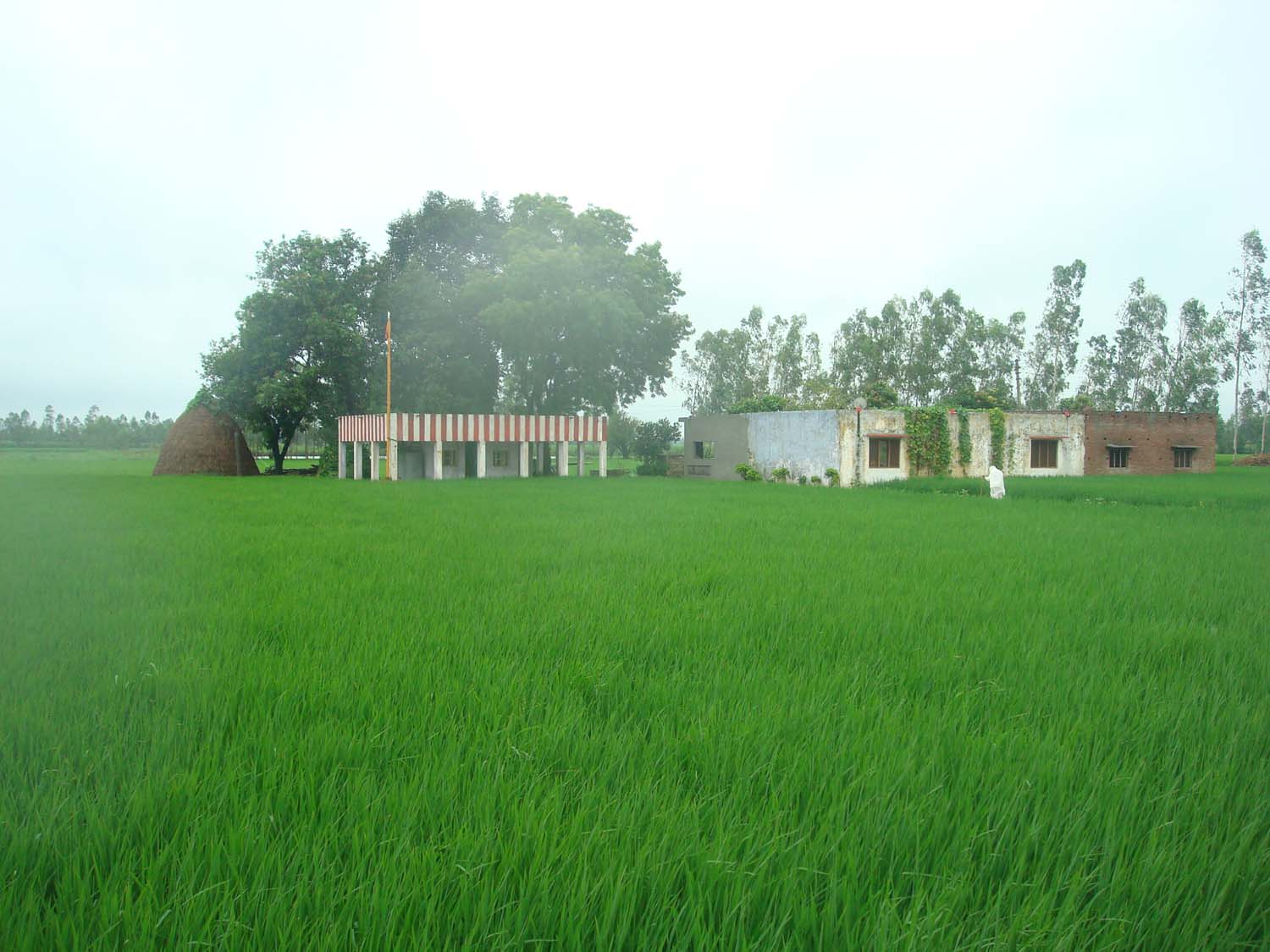 Beautiful India: PILIBHIT , UTTAR PRADESH