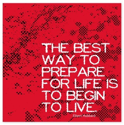 The best way to prepare are for life is to begin to live. | I Share Quotes