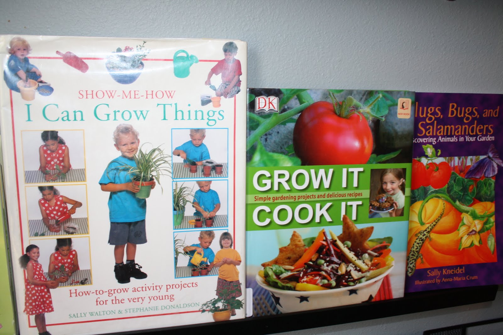 academy at thousand oaks: Preschool Corner *Friday's Nature Table ...