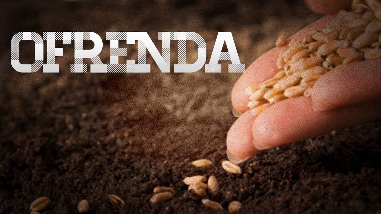 Anhelo Conocerte Espíritu Santo: Ofrendas de Amor