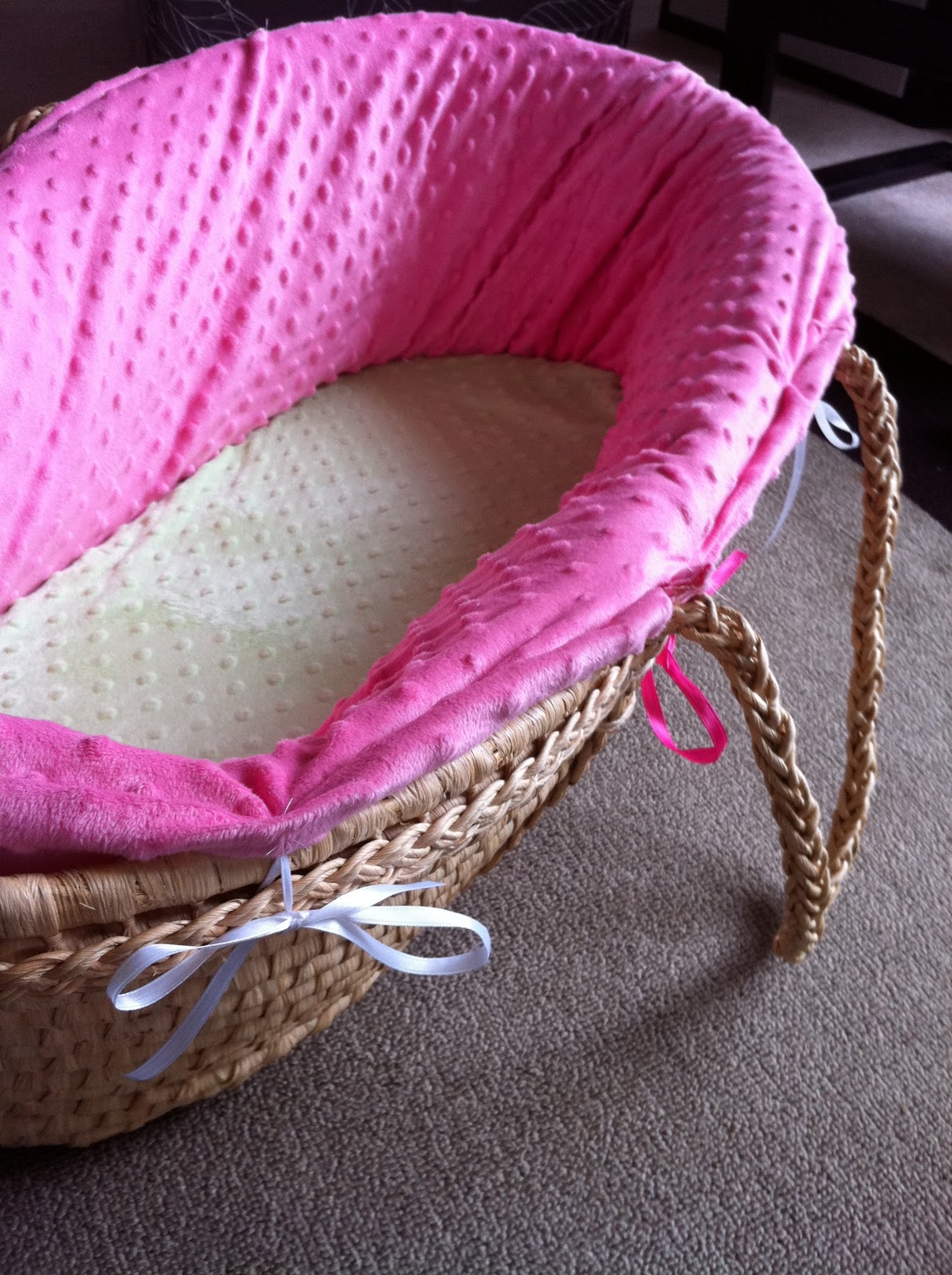 Moments of Timeless Treasures: Recovering a moses basket