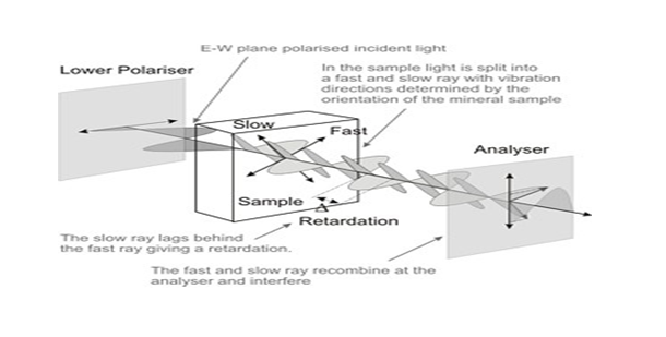 TEKNOLOGI FARMASEUTIKAL I: TF 1 Lab - Report on Polarized Microscope