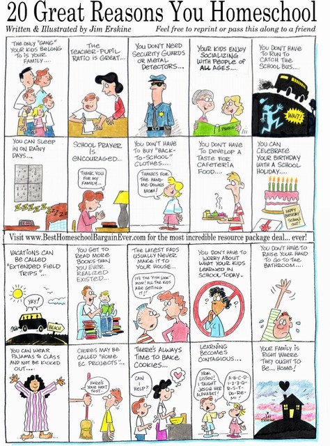 Mr. P.'s Classroom: Comic Strip: 20 Great Reasons to Homeschool