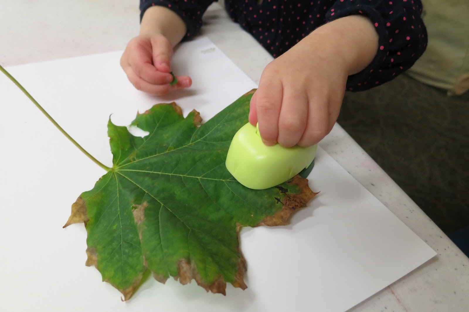 Toddler Art Class: Leaf Punching : library makers