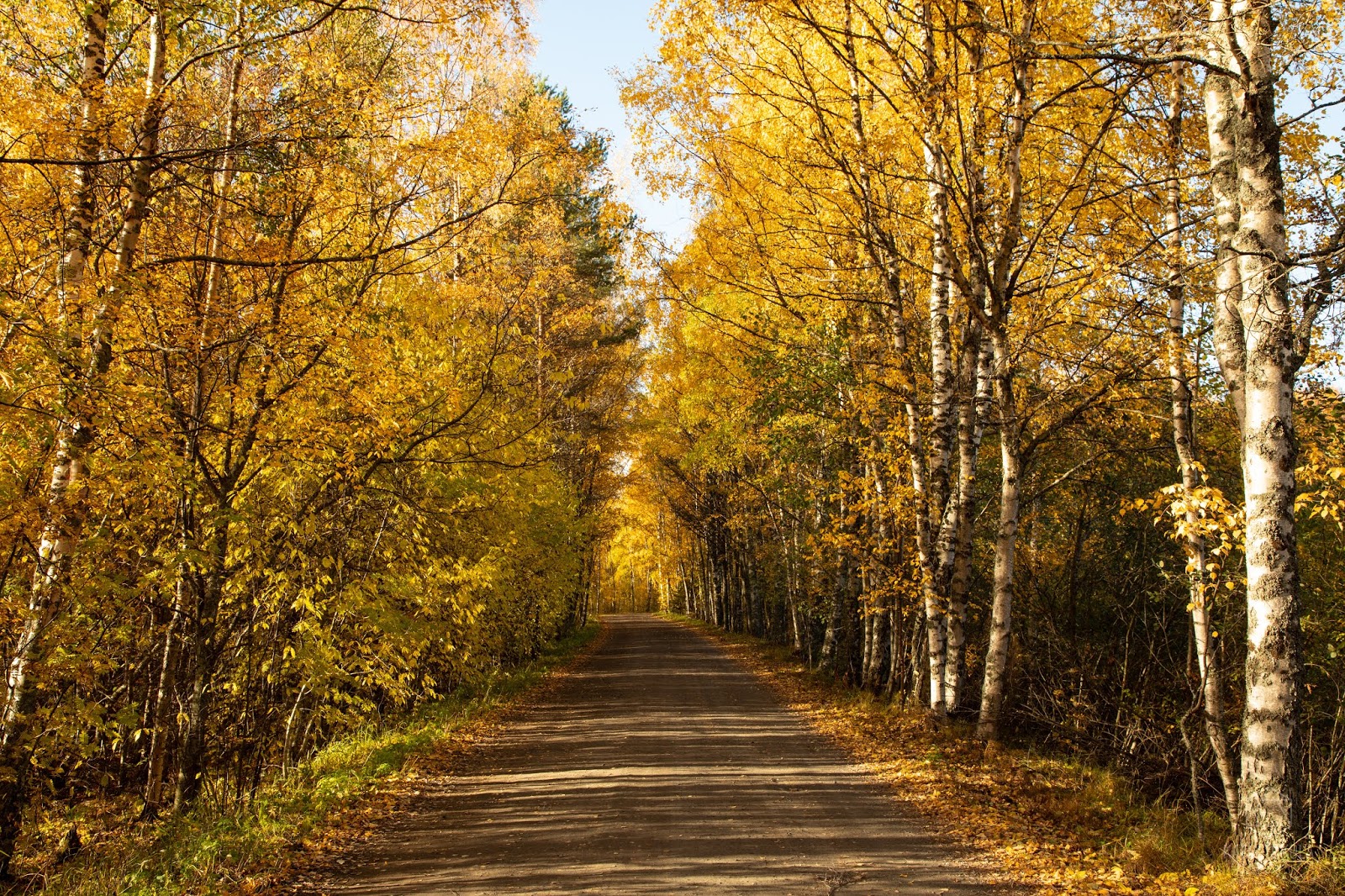 Kanneli: Kaunis syksy