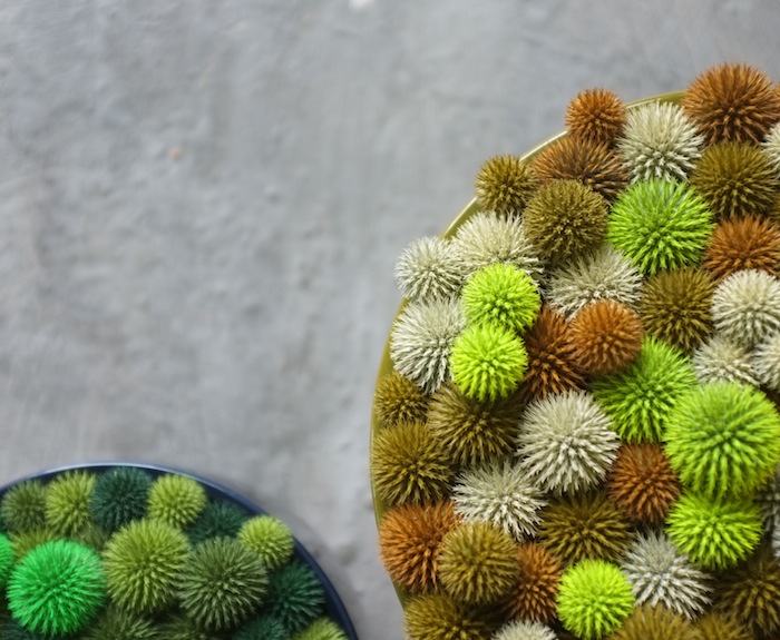 paradis express: Bornay