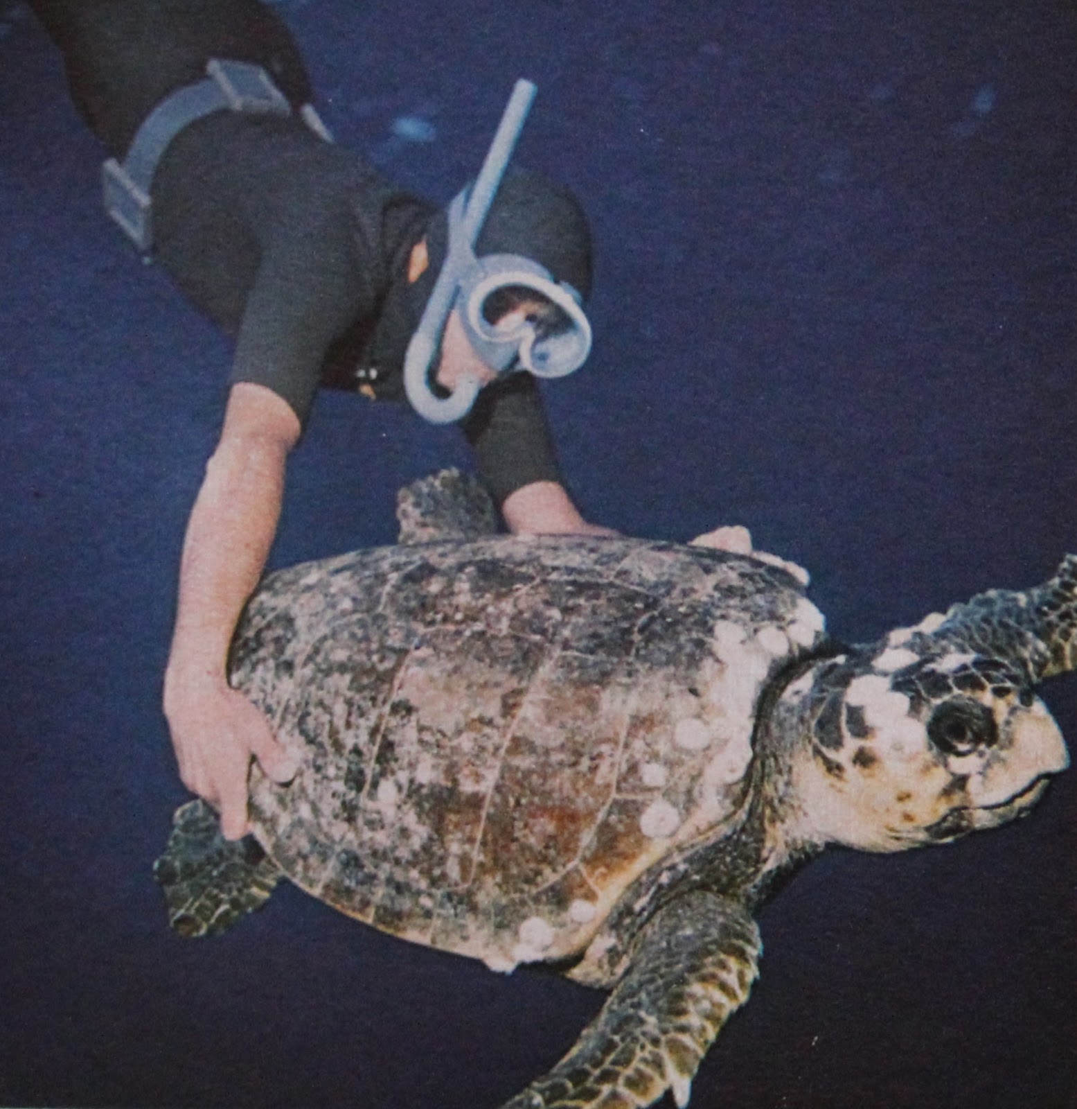 ReportageSicilia: ROBERTO MERLO DOCUMENTARISTA DELLE PELAGIE