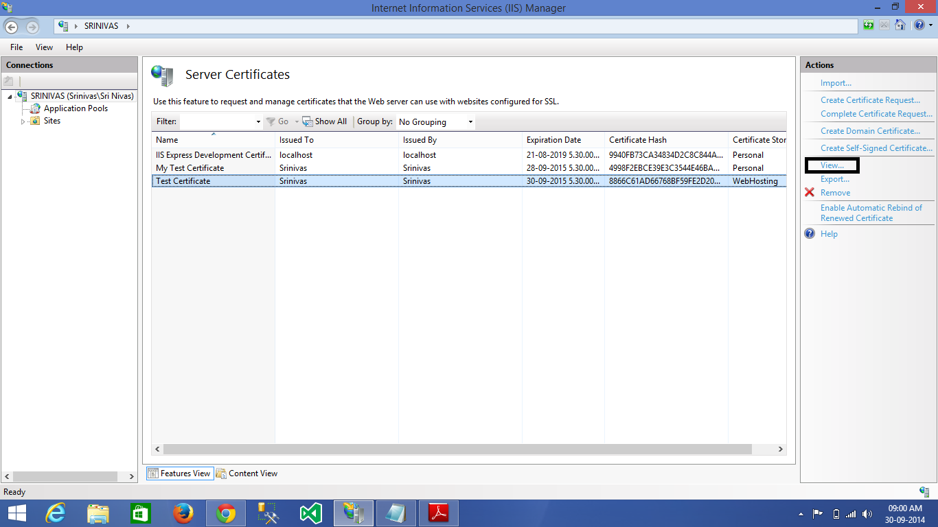 Server Certificates in IIS 8