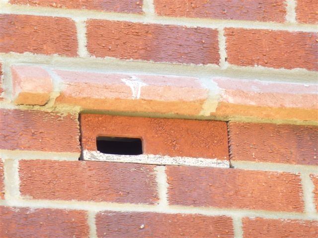 Action for Swifts: Swift boxes in a garage gable end