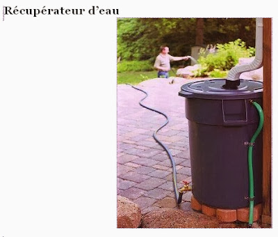 Ma poubelle est un Jardin: Après ça, plus de refus pour garder un fût