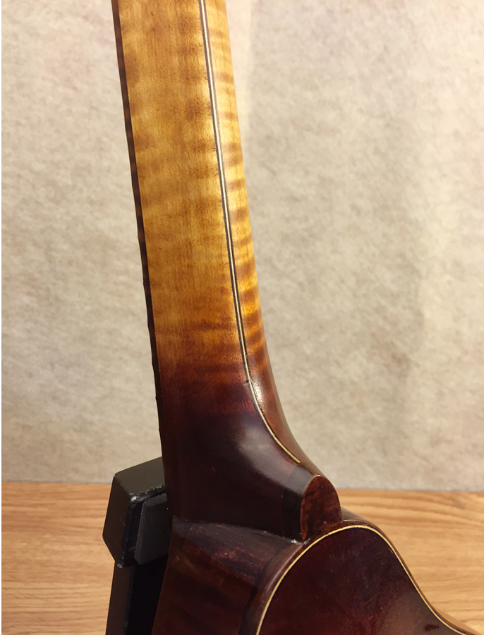 Franzke String Instruments