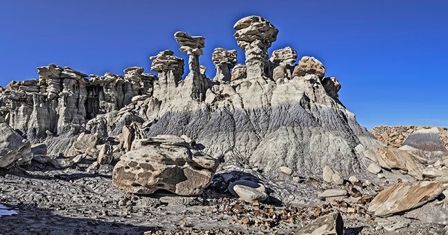 Equatorial Minnesota: Tiny frogs of the Chinle