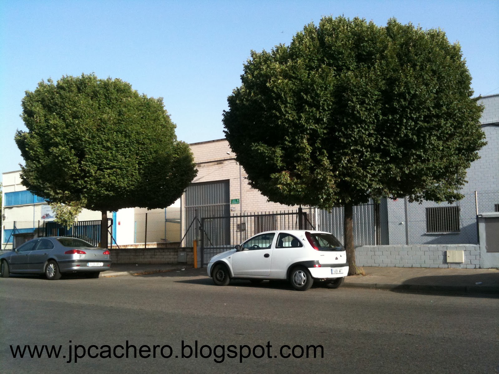 @ JuanPCachero Blog: !!! EL OLMO BOLA Y EL HORTELANO