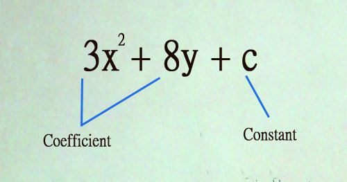 Sen Computing: What is Coefficient in mathematics?
