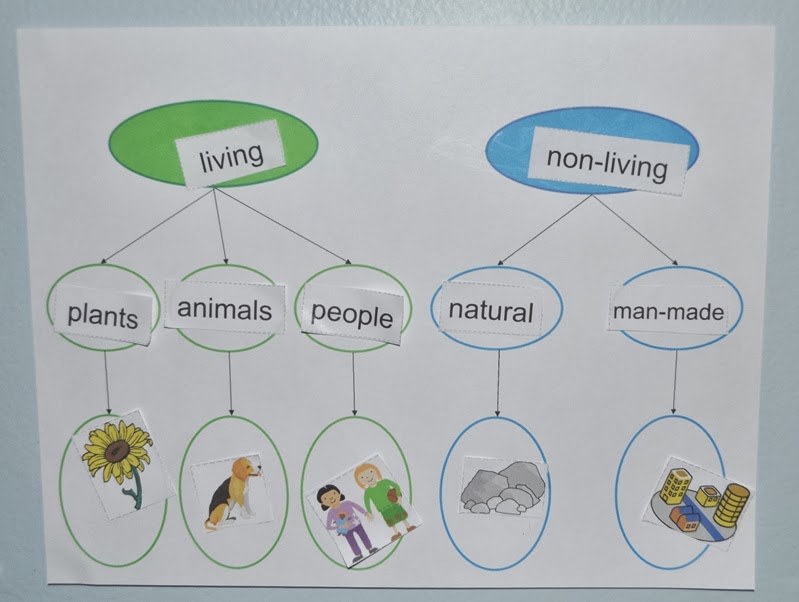 Memorizing the Moments: N for Nonliving
