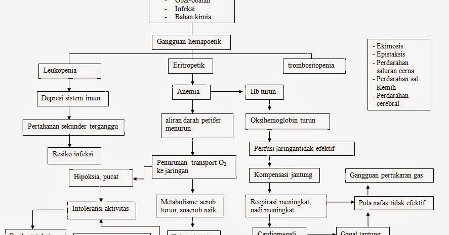 Blog Wijj: Asuhan Keperawatan Dengan Anemia