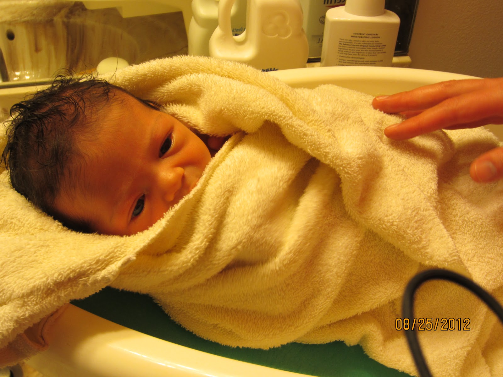 Elephant Sounds: Nakey is best!