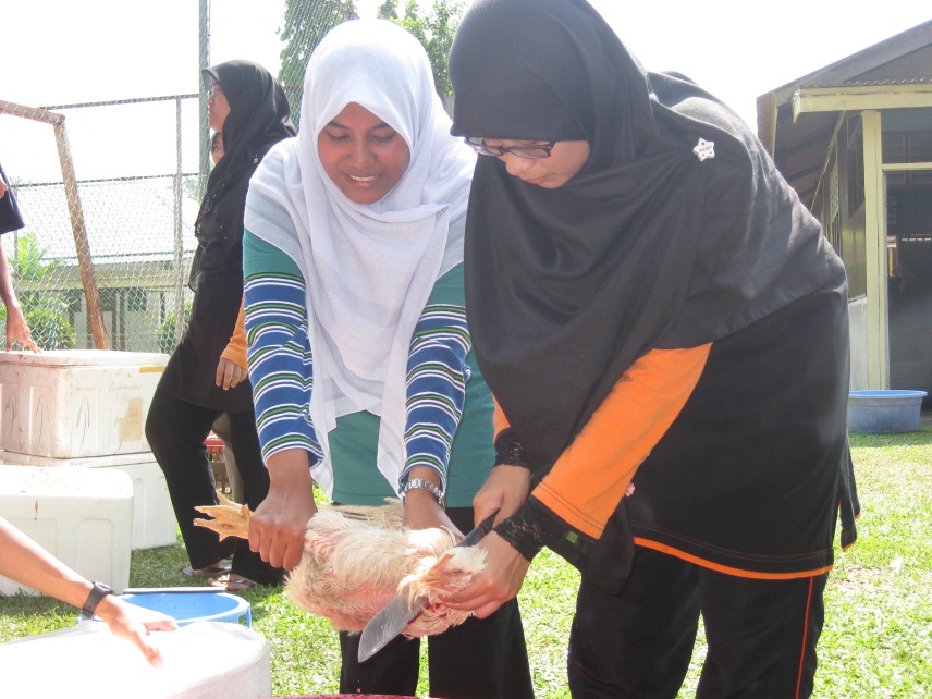 Program Amal Islami Sesi 2010-2012: PELAKSANAAN MODUL SEMBELIHAN