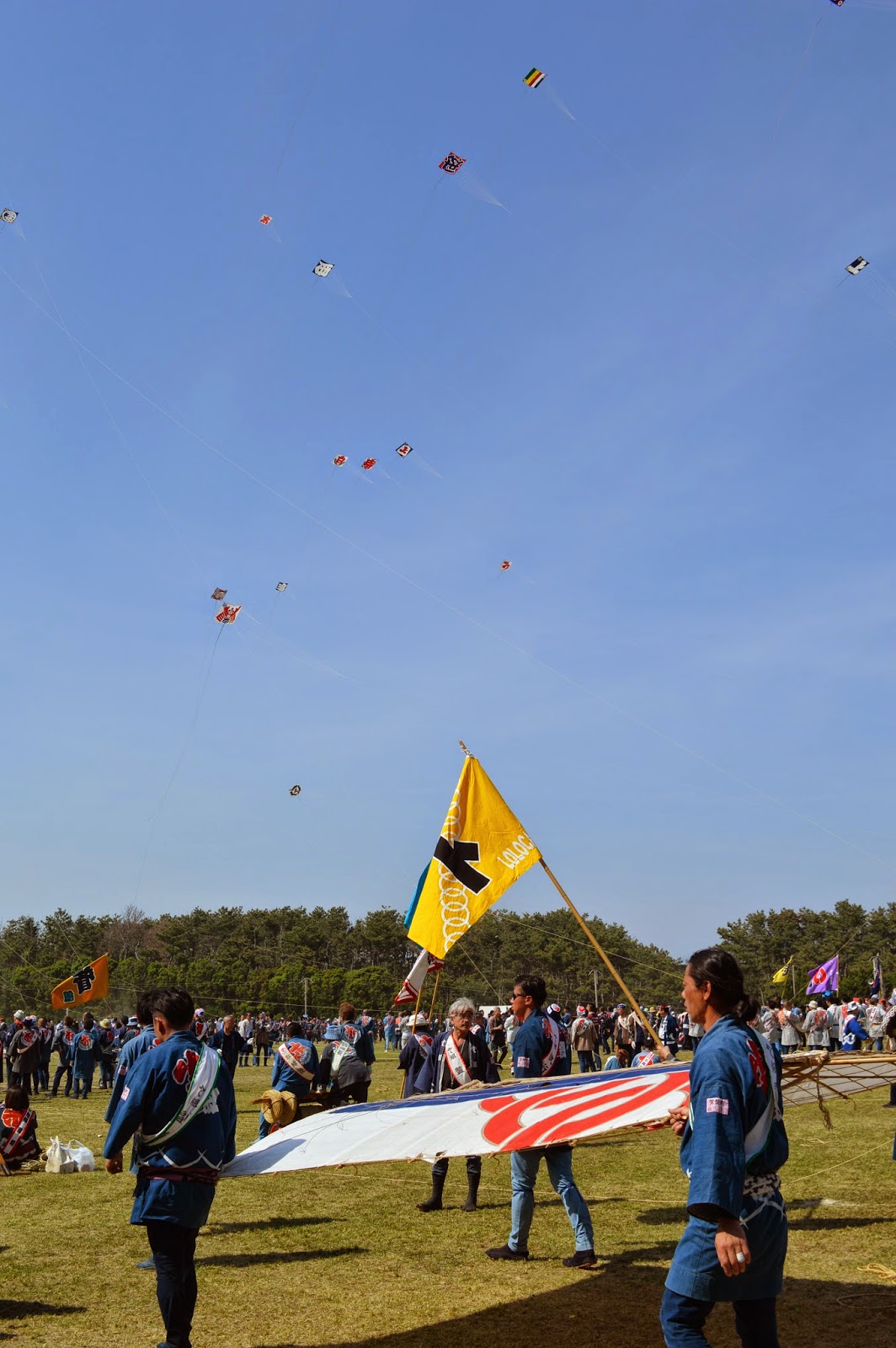 Golden Week Part Two: Biking to the Kite Festival ~ Jenna in Japan