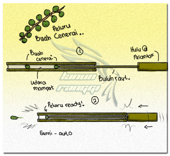 Koleksi Dari Internet: Bagaimana nak bikin buluh bedil atau setengah ...