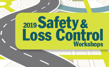 On the Line: Public Safety Risk Management: Safety & Loss Control ...