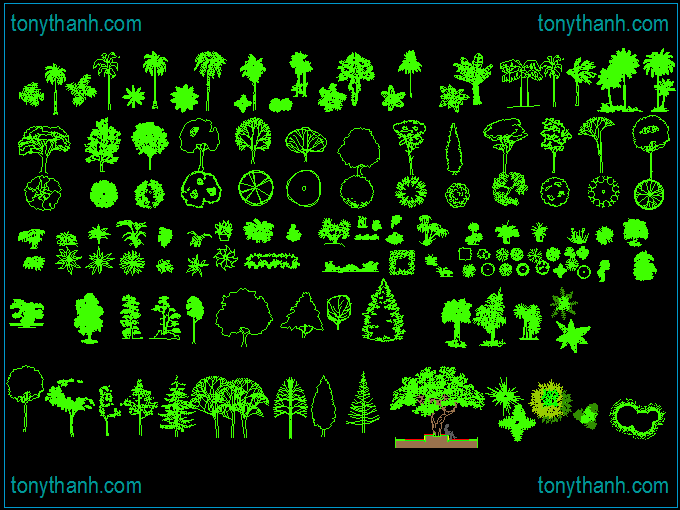 CAD gambar pohon / tanaman