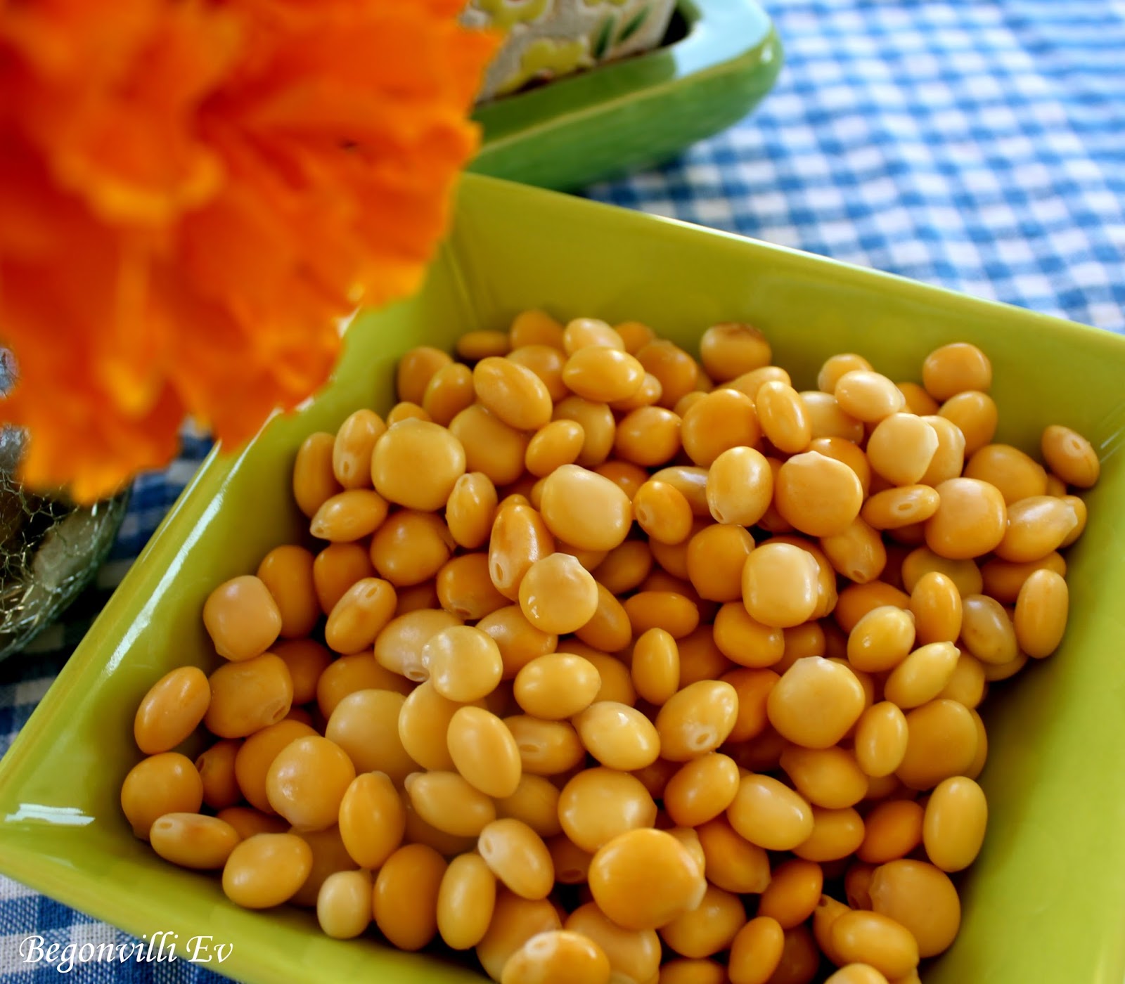 Begonvilli Ev: Bir Akdeniz Çerezi:Tirmis