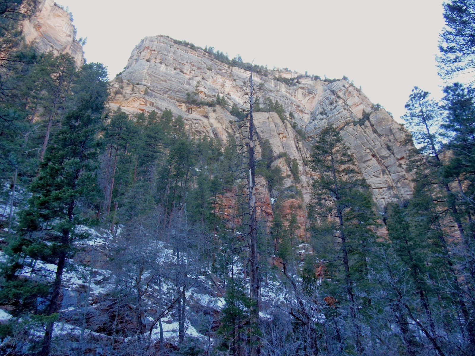 Sedona Hiker: West Fork Trail