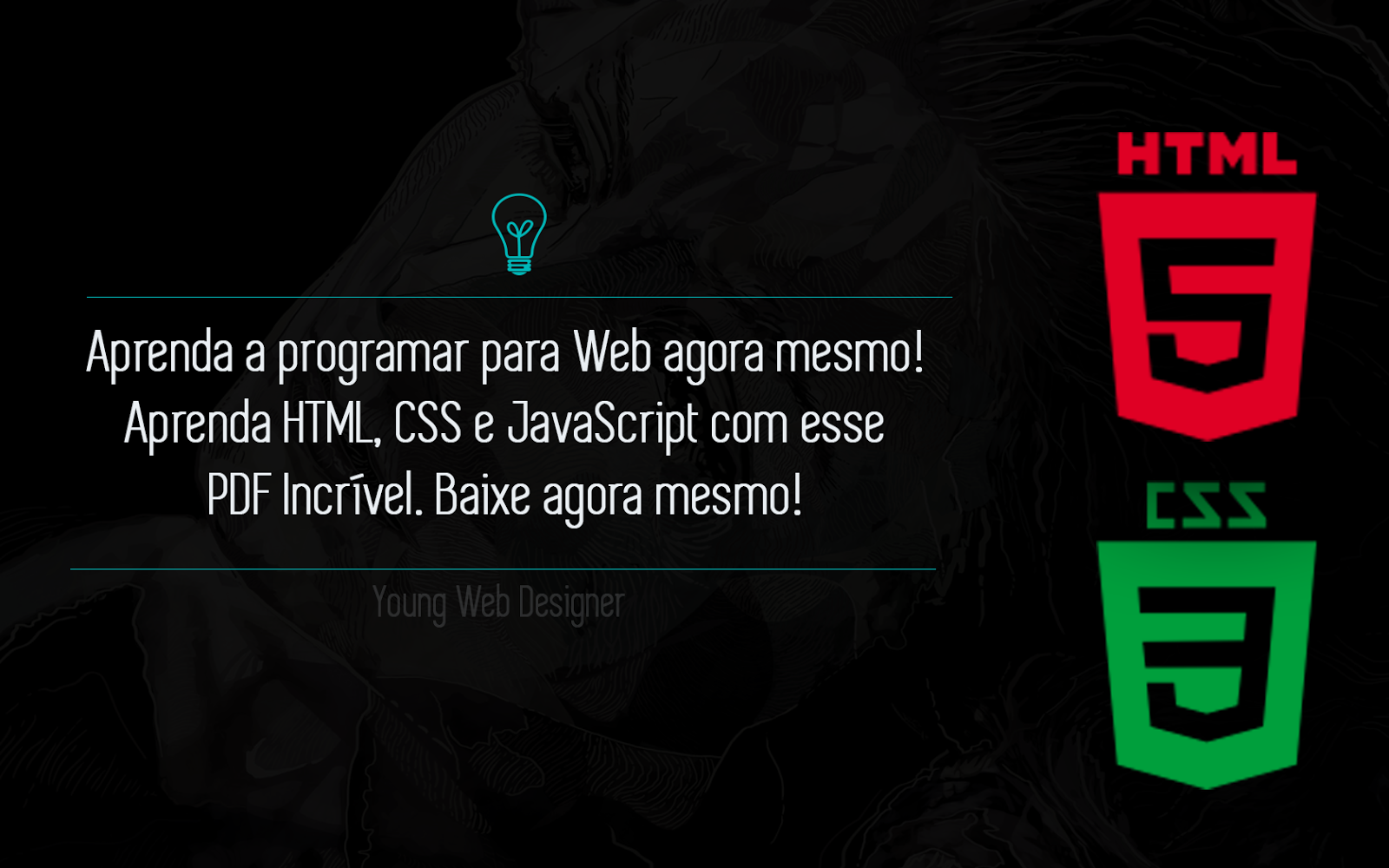 Pdf Aprenda A Programar Html Css E Javascript Agora Mesmo Fácil E Rápido Botall