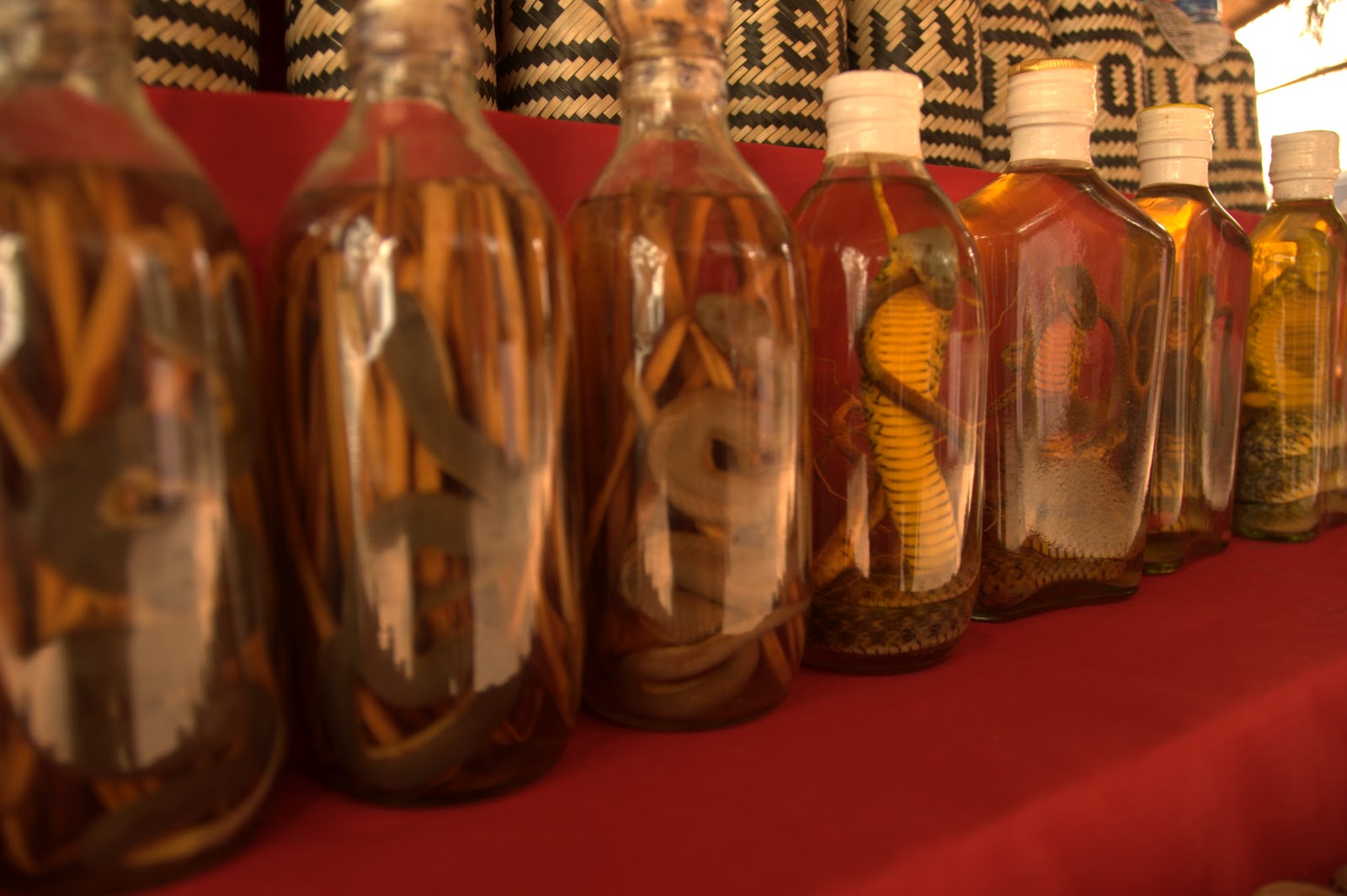 2 tarins australiens: [Laos]: Luang Prabang