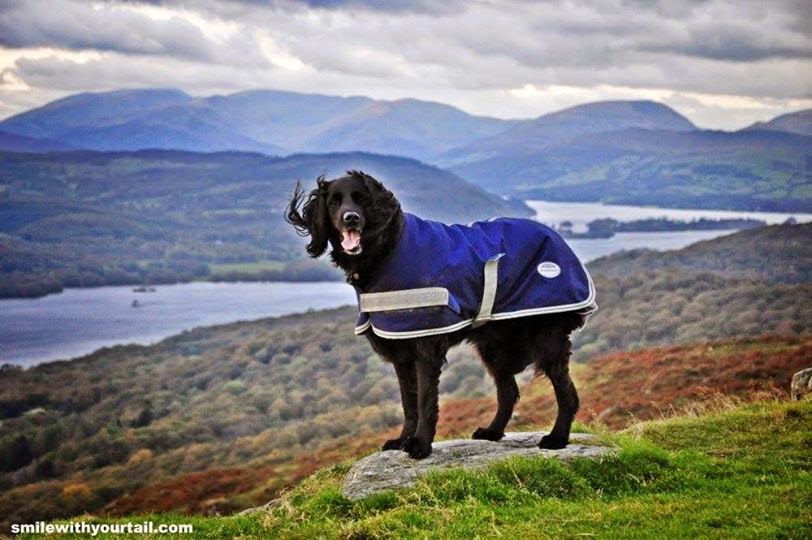 The Lake District ~ Smile With Your Tail