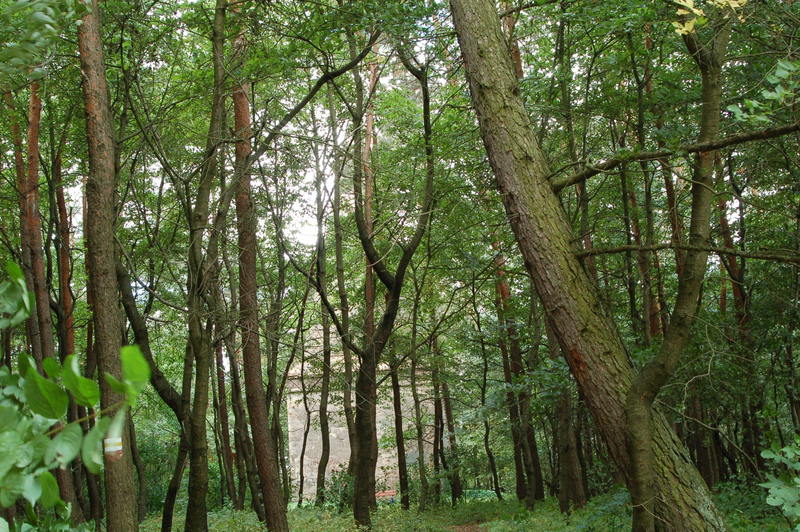 I tu i tam....Y aqui y alla: Grobowiec-piramida, ruina zamku i Perła ...